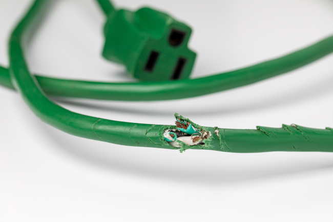 Common Signs You Need Rodent Removal Services | Green Services Termite ...